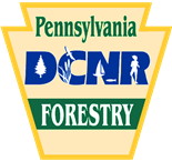 Things To Do | PA Dutch Council BSA